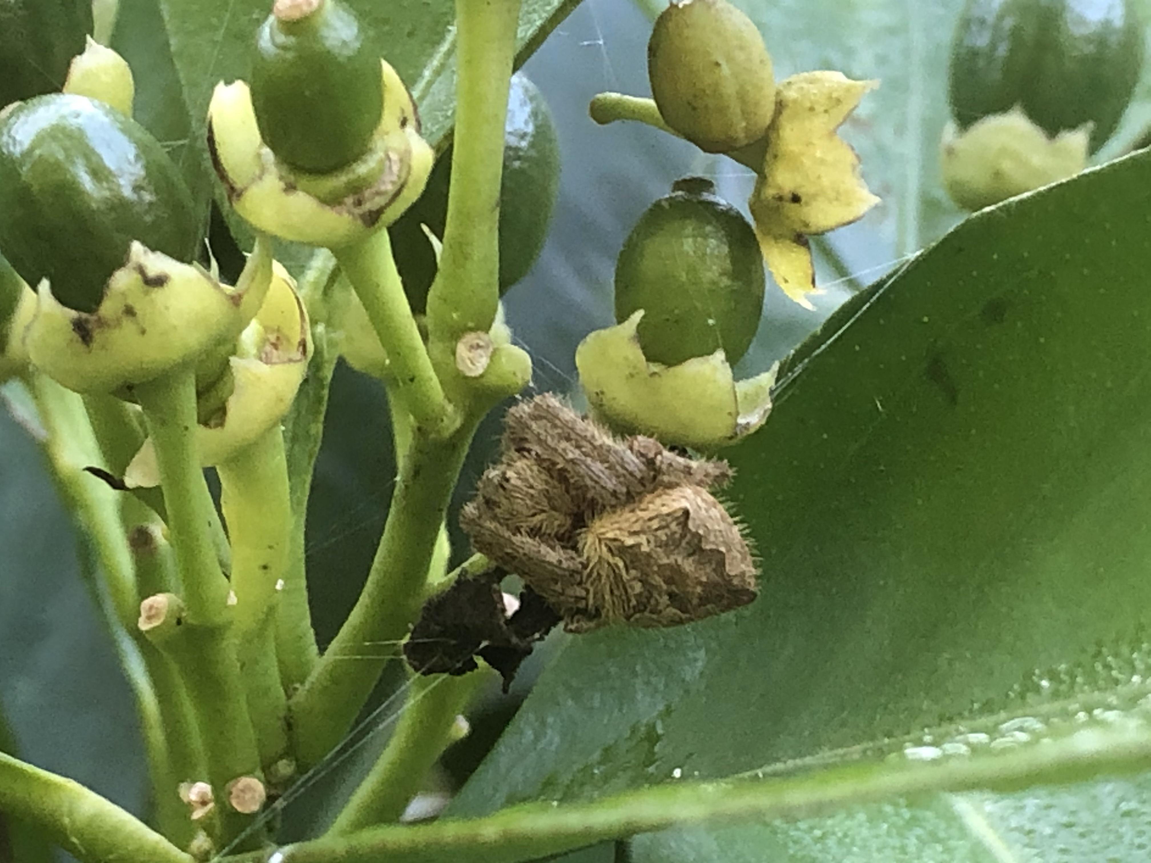 Kinda cute | Scrolller