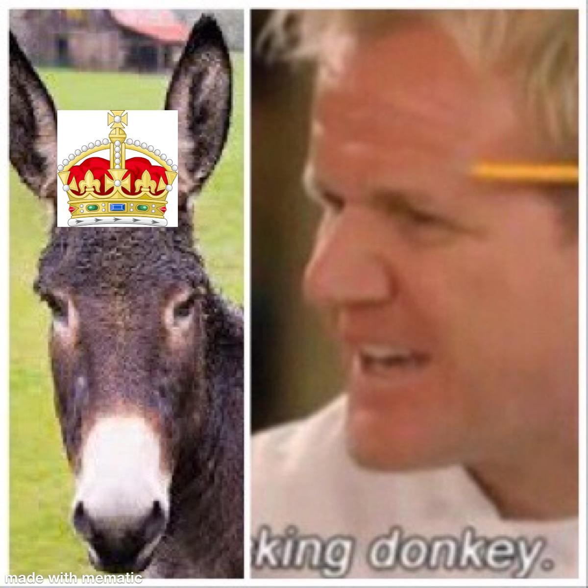 King donkey | Scrolller