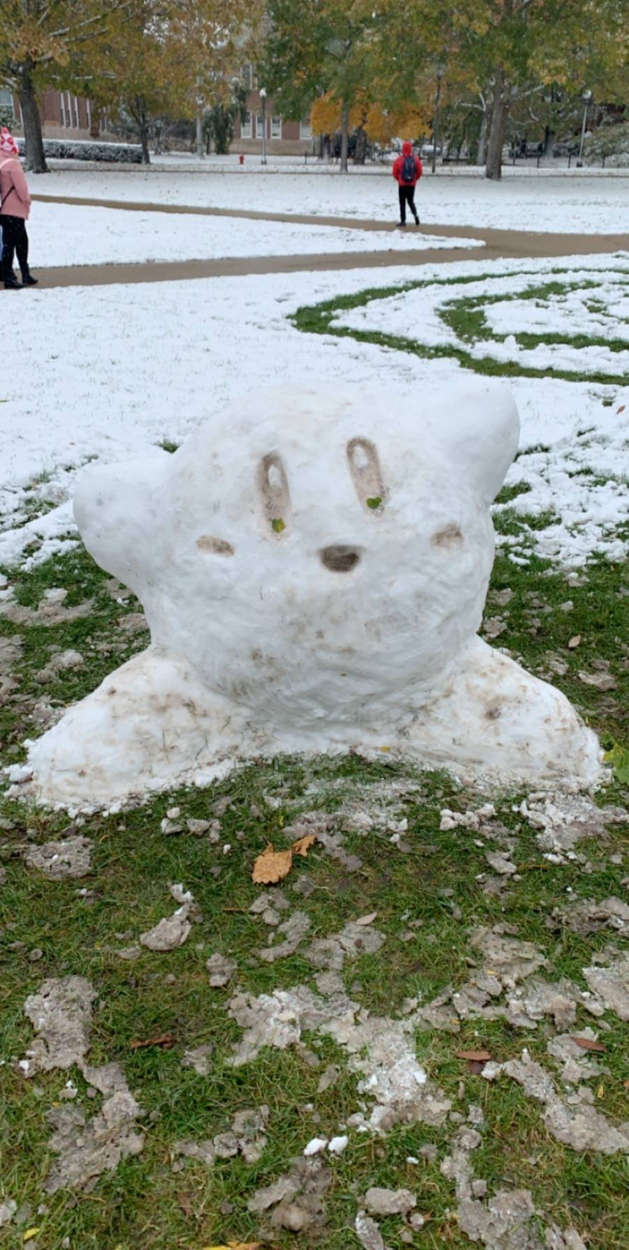 Kirby on the quad | Scrolller