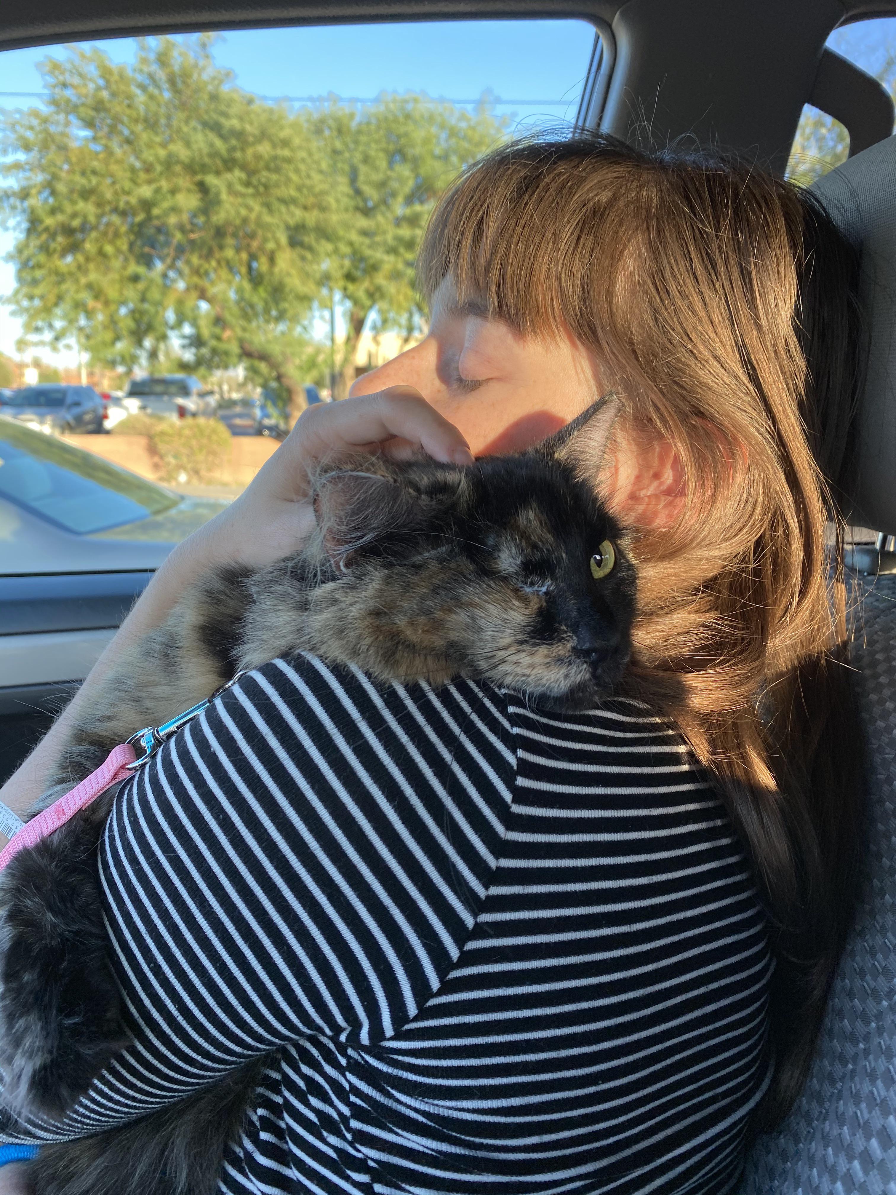 Kitty kat | Scrolller