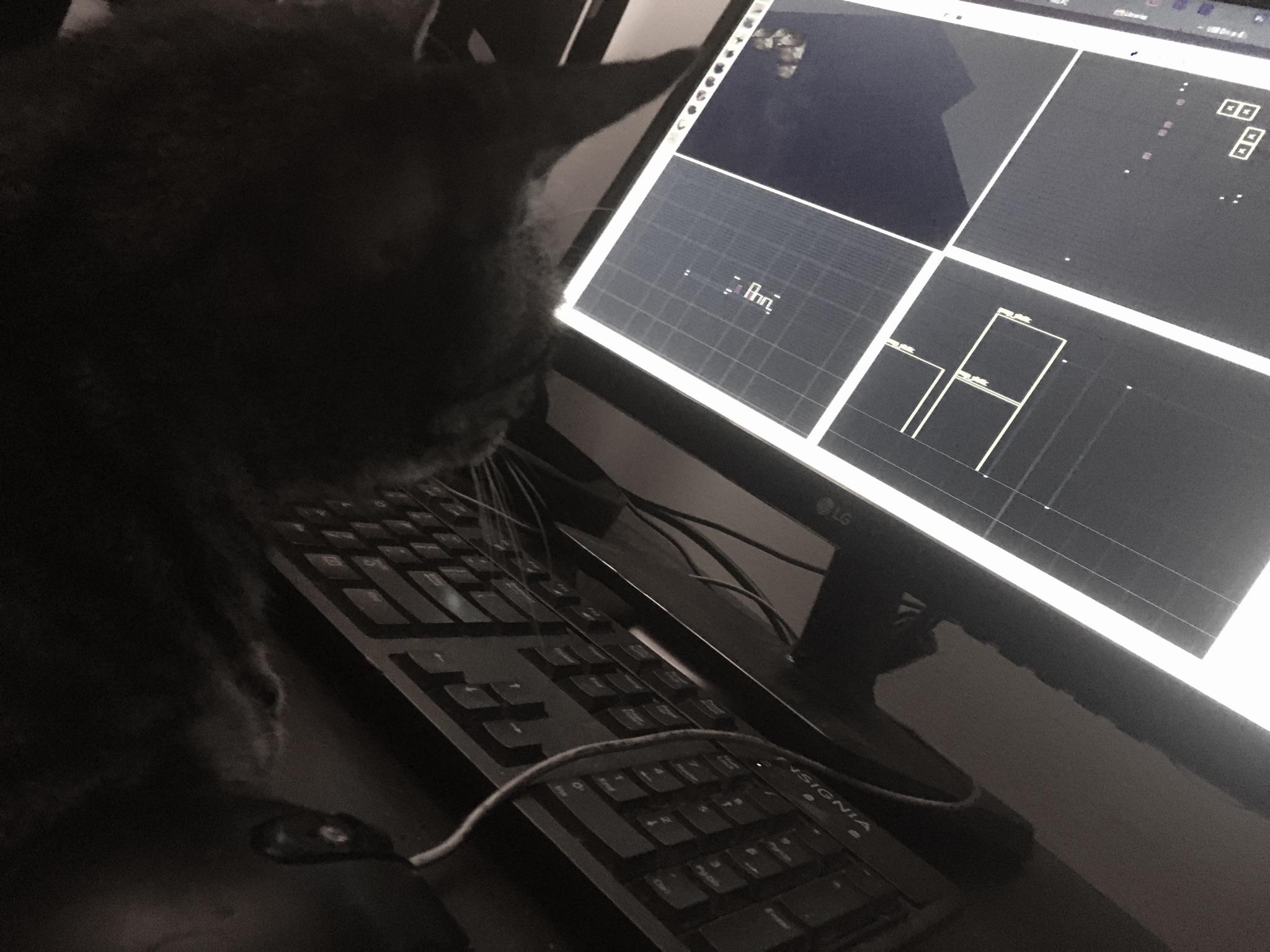 Kitty learning Hammer | Scrolller