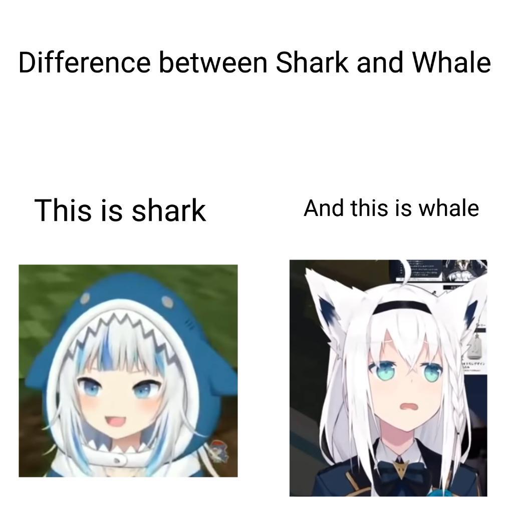 Konw the difference | Scrolller