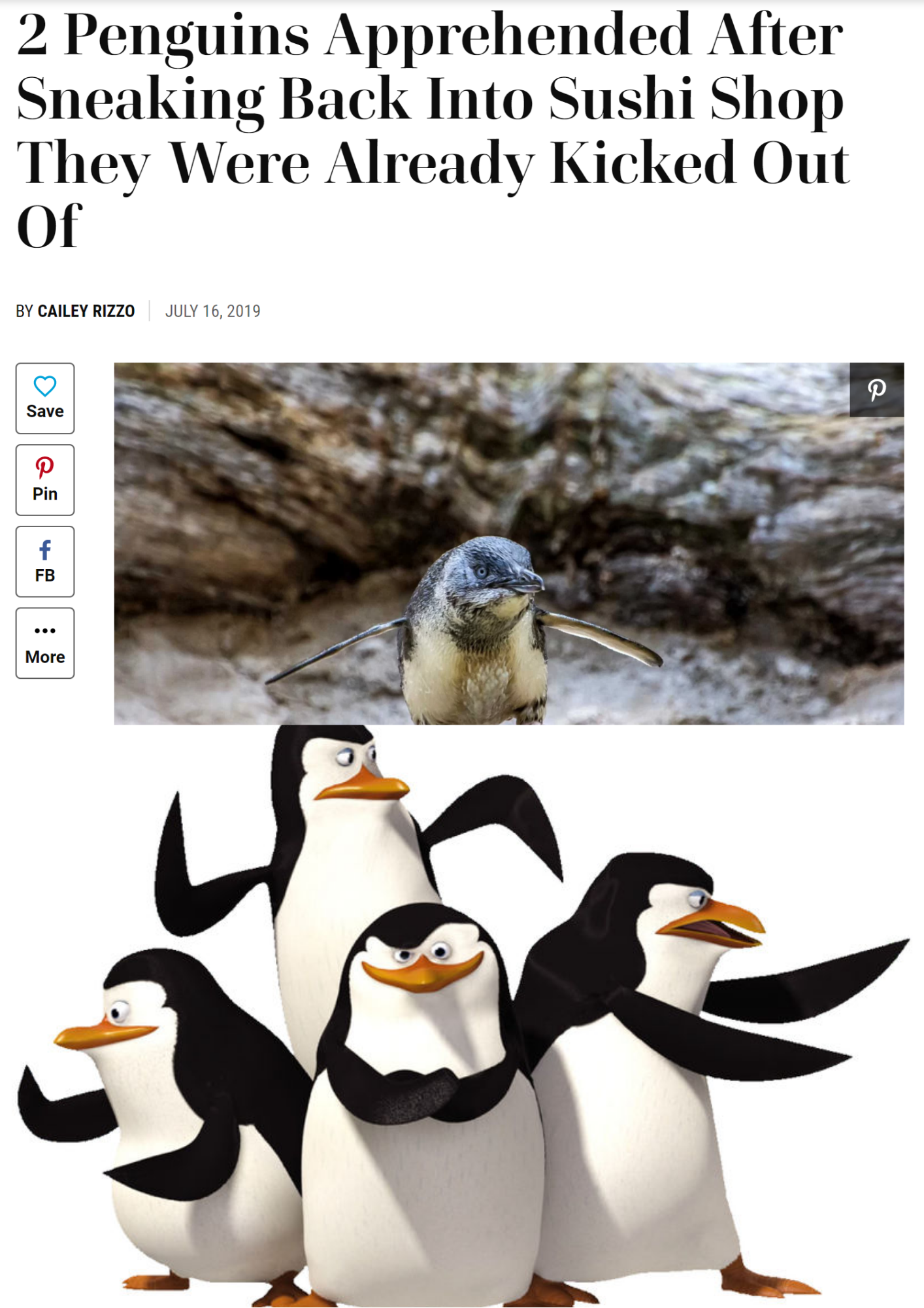 Kowalski Analysis...... | Scrolller