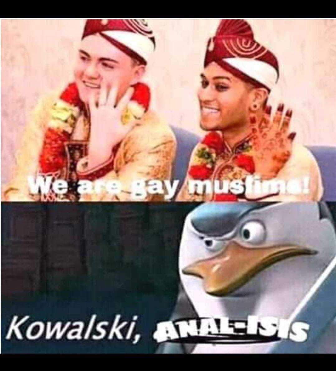 Kowalski Analysis started ! | Scrolller