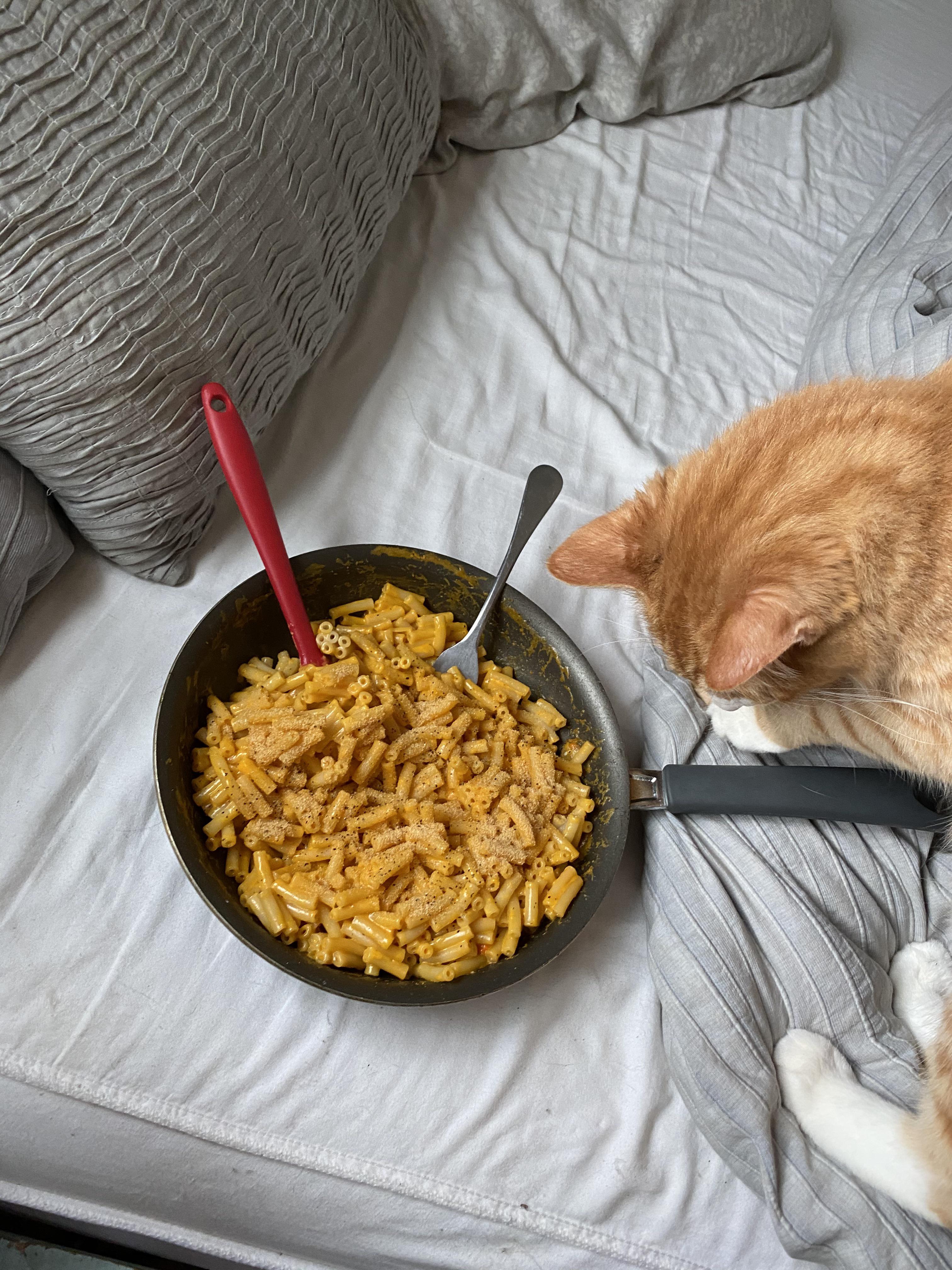 Kraft with a bunch of garlic powder and pepper on top, hungover in bed | Scrolller