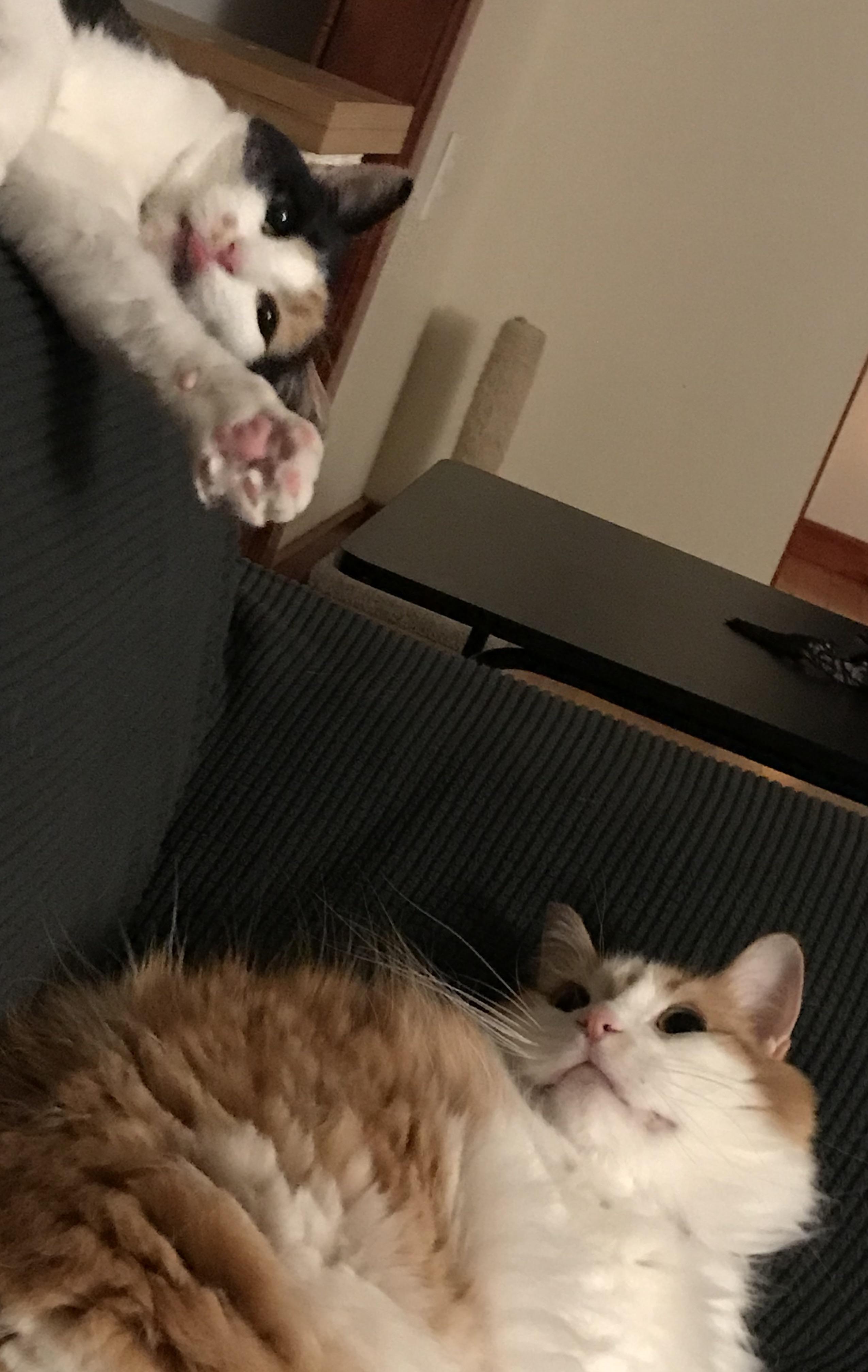 kung fu fighting beans | Scrolller