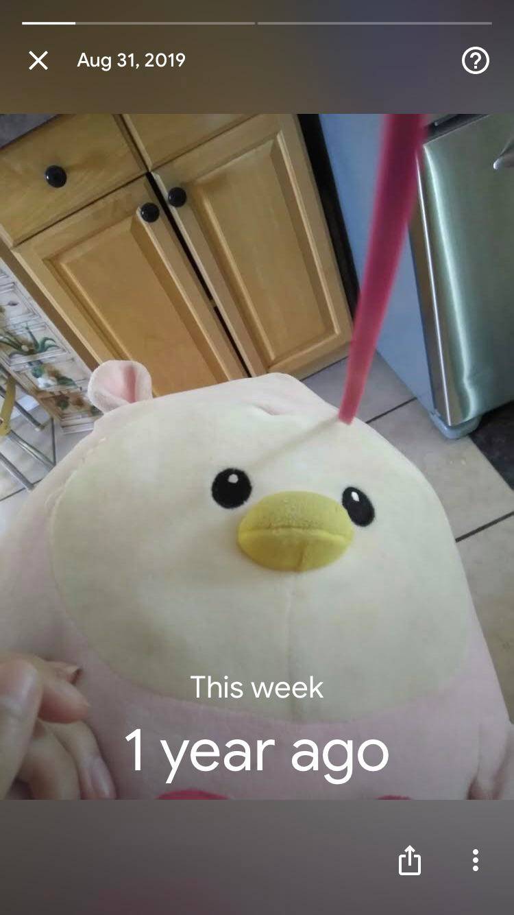 Kween is back | Scrolller