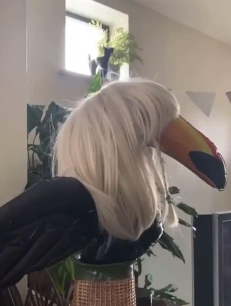 Lady Caca | Scrolller