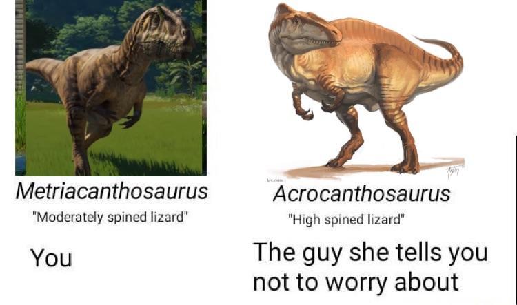 Lady’s love a nice spine. | Scrolller