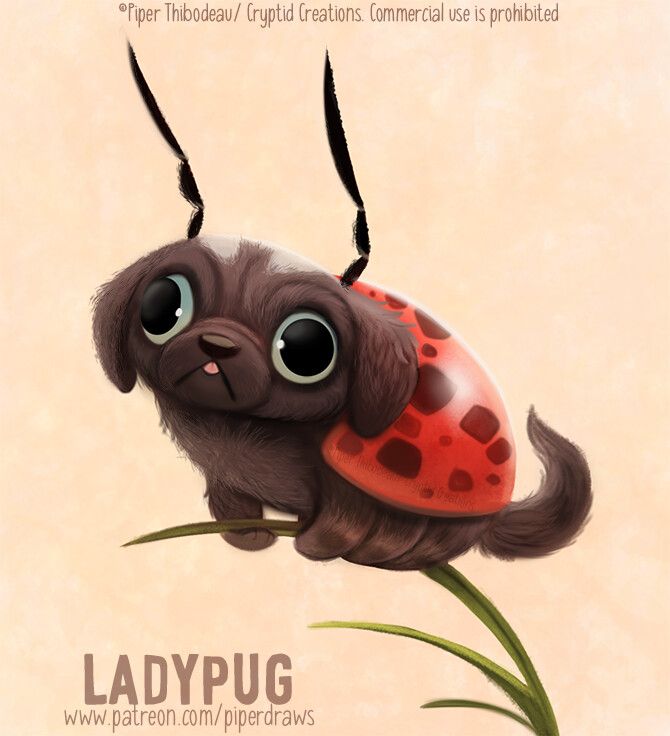 Ladypug by Piper Thibodeau | Scrolller