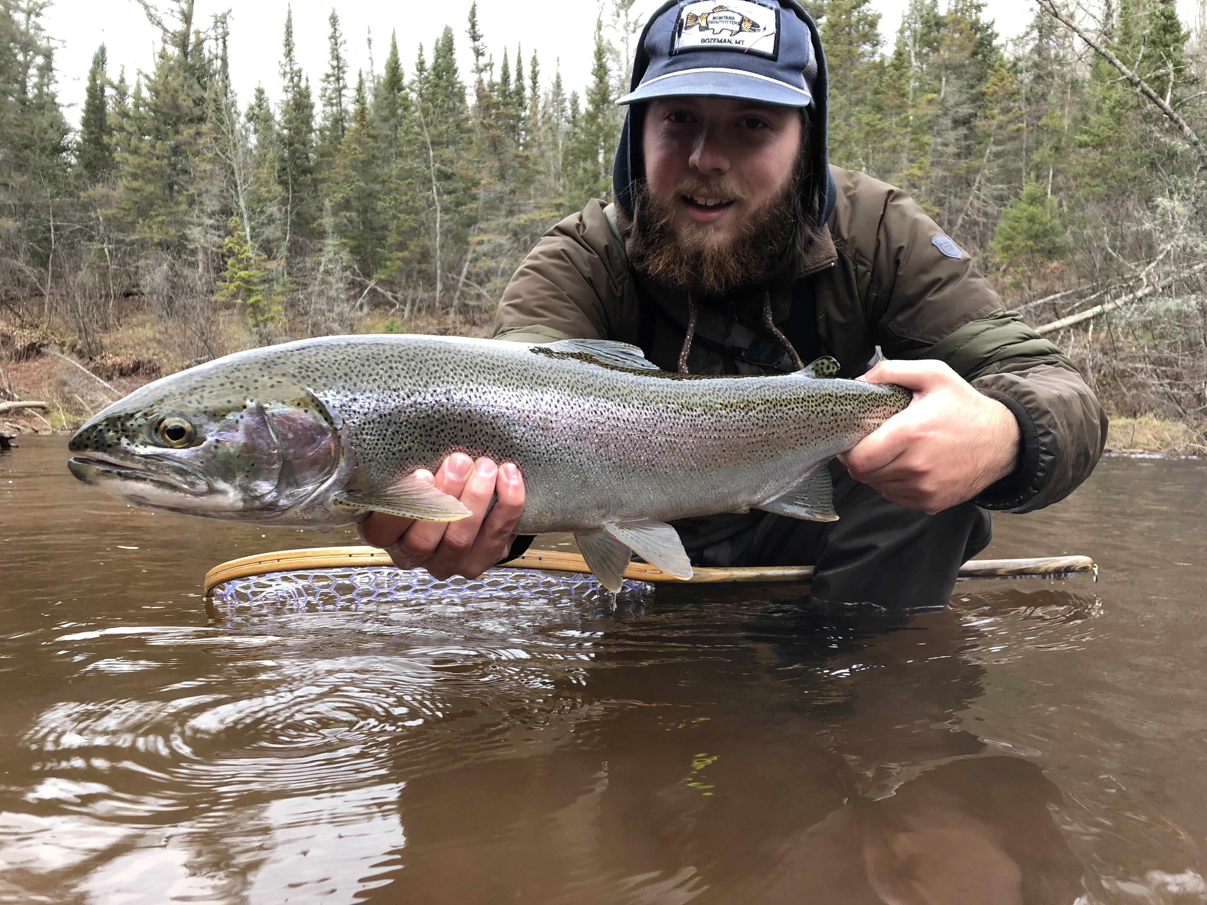 Lake Superior Steelhead | Scrolller