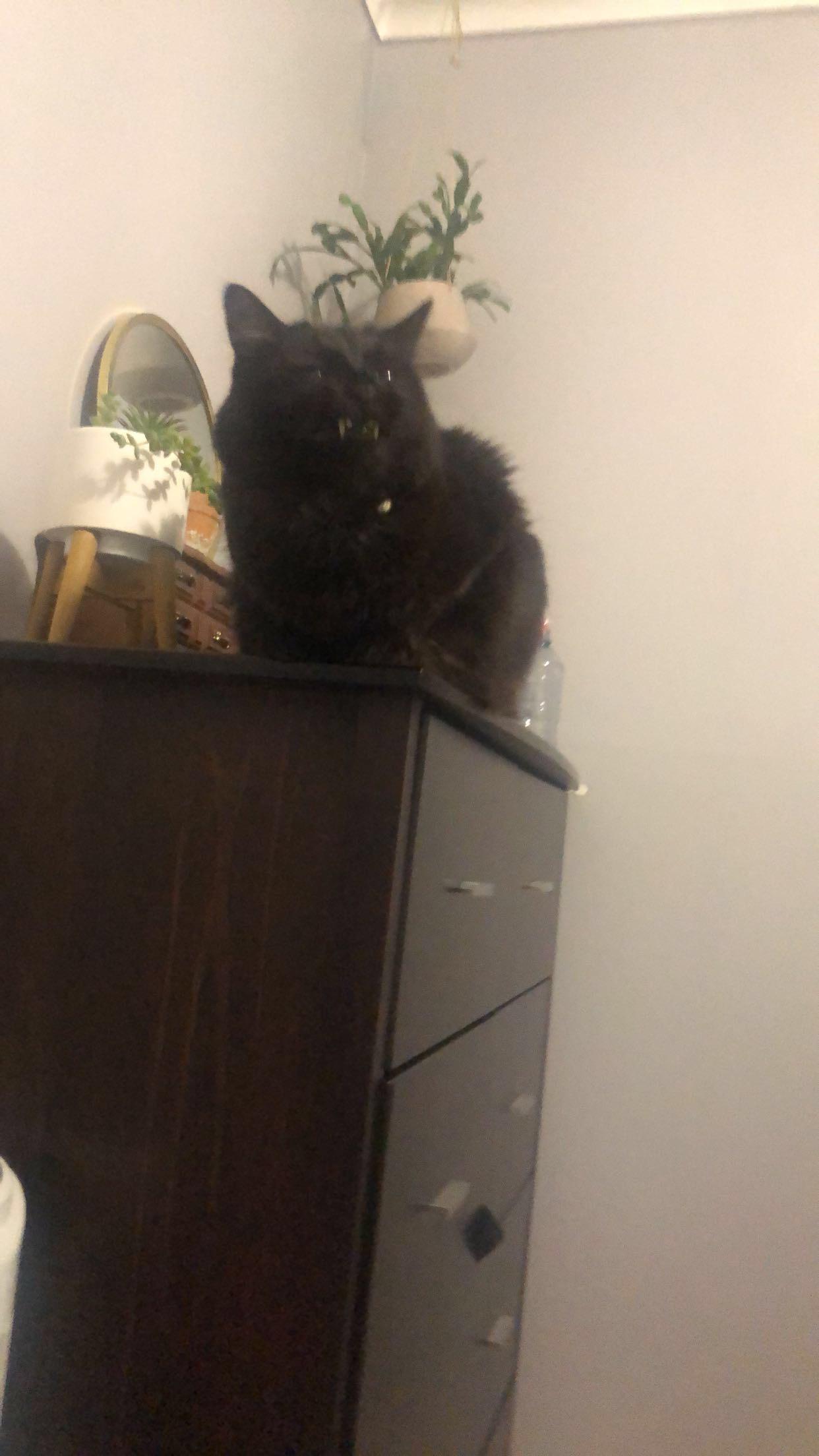 lana finally did a scrunge ! | Scrolller