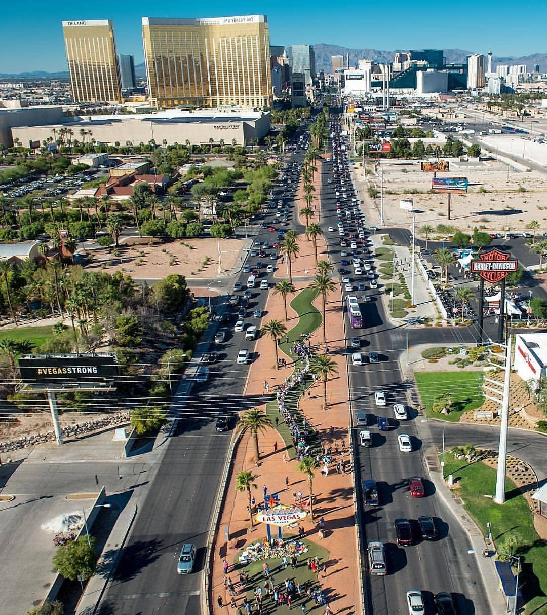 Las Vegas | Scrolller