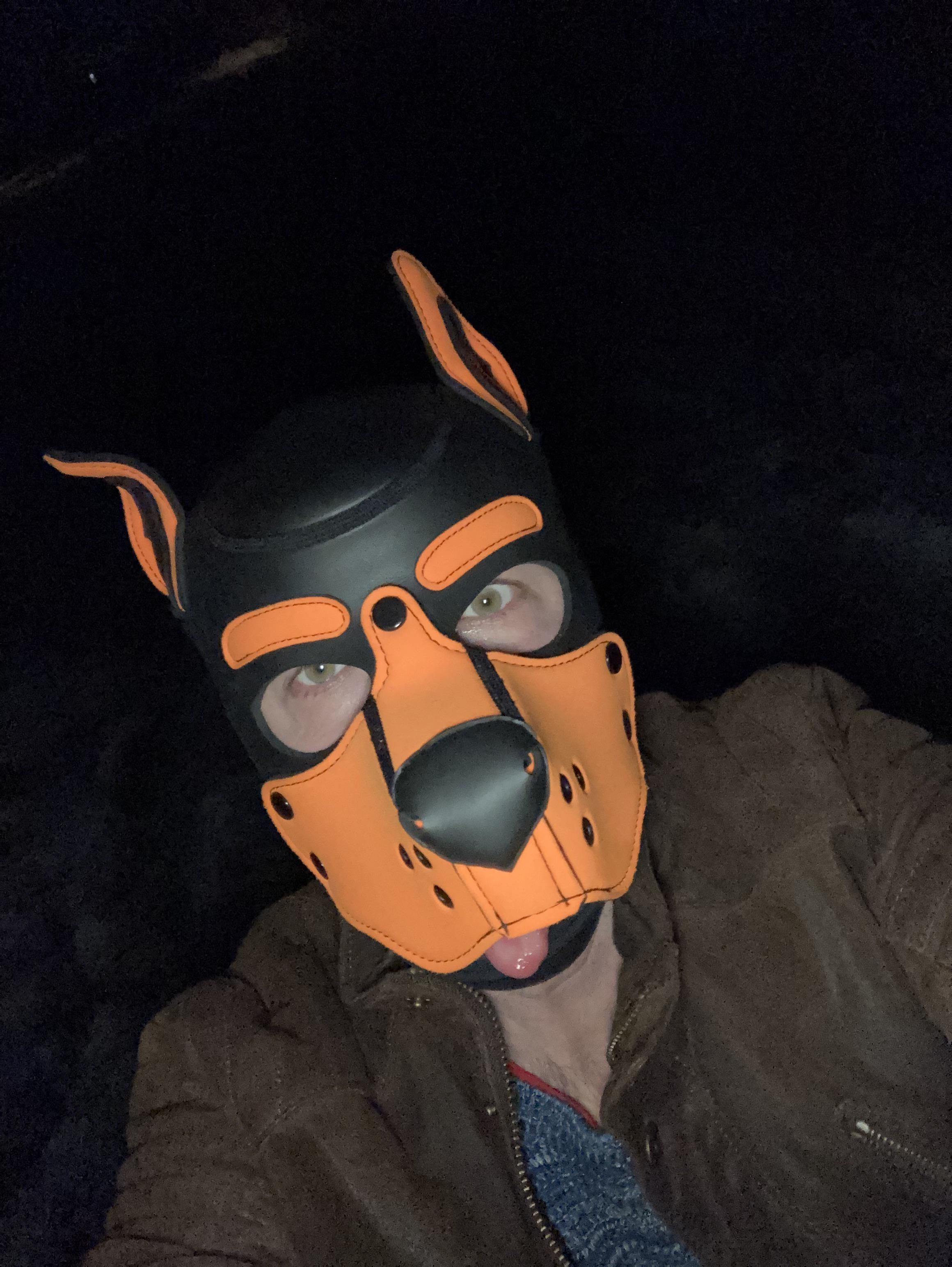 Late night walkies | Scrolller