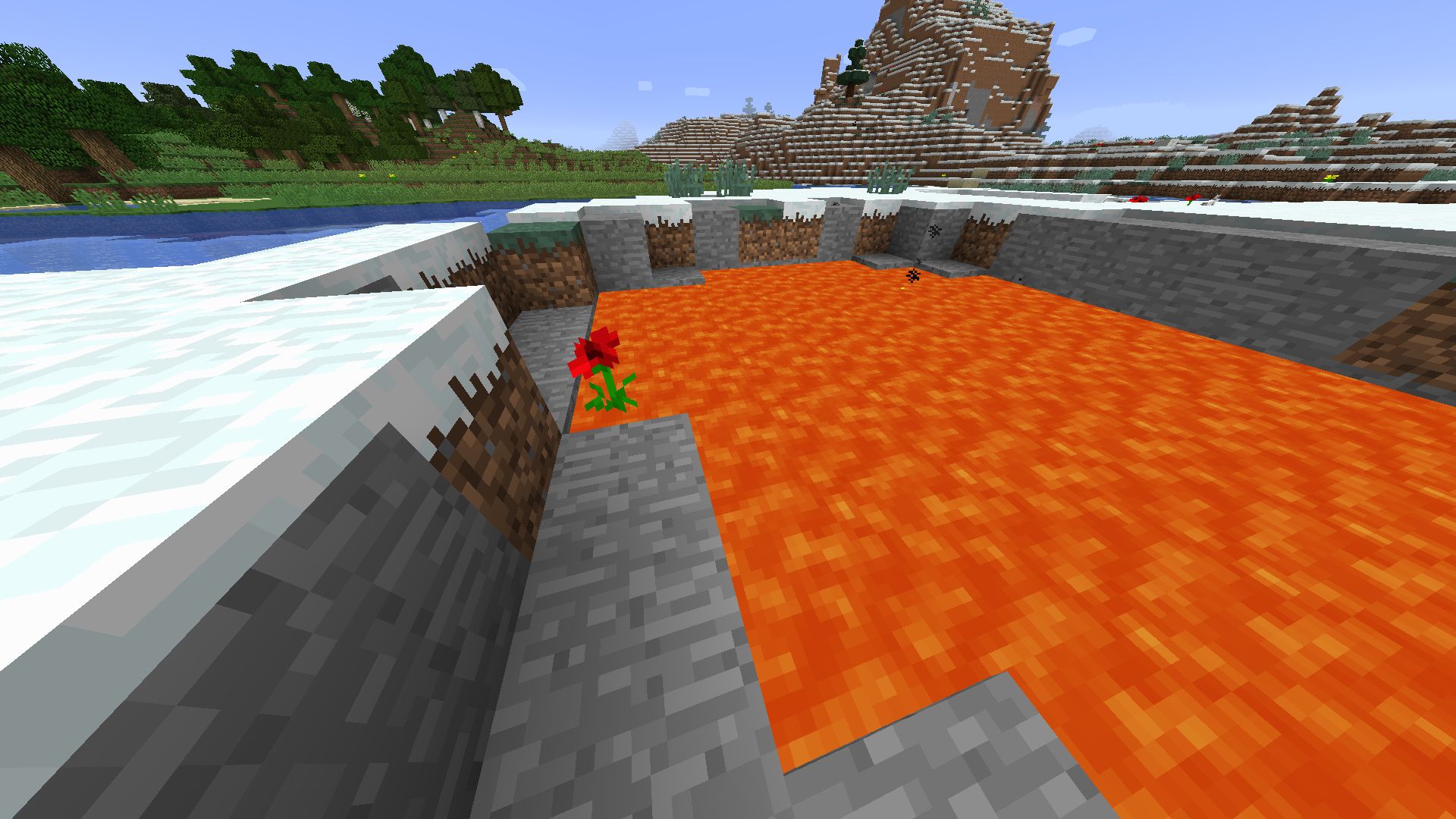 lava poppy | Scrolller