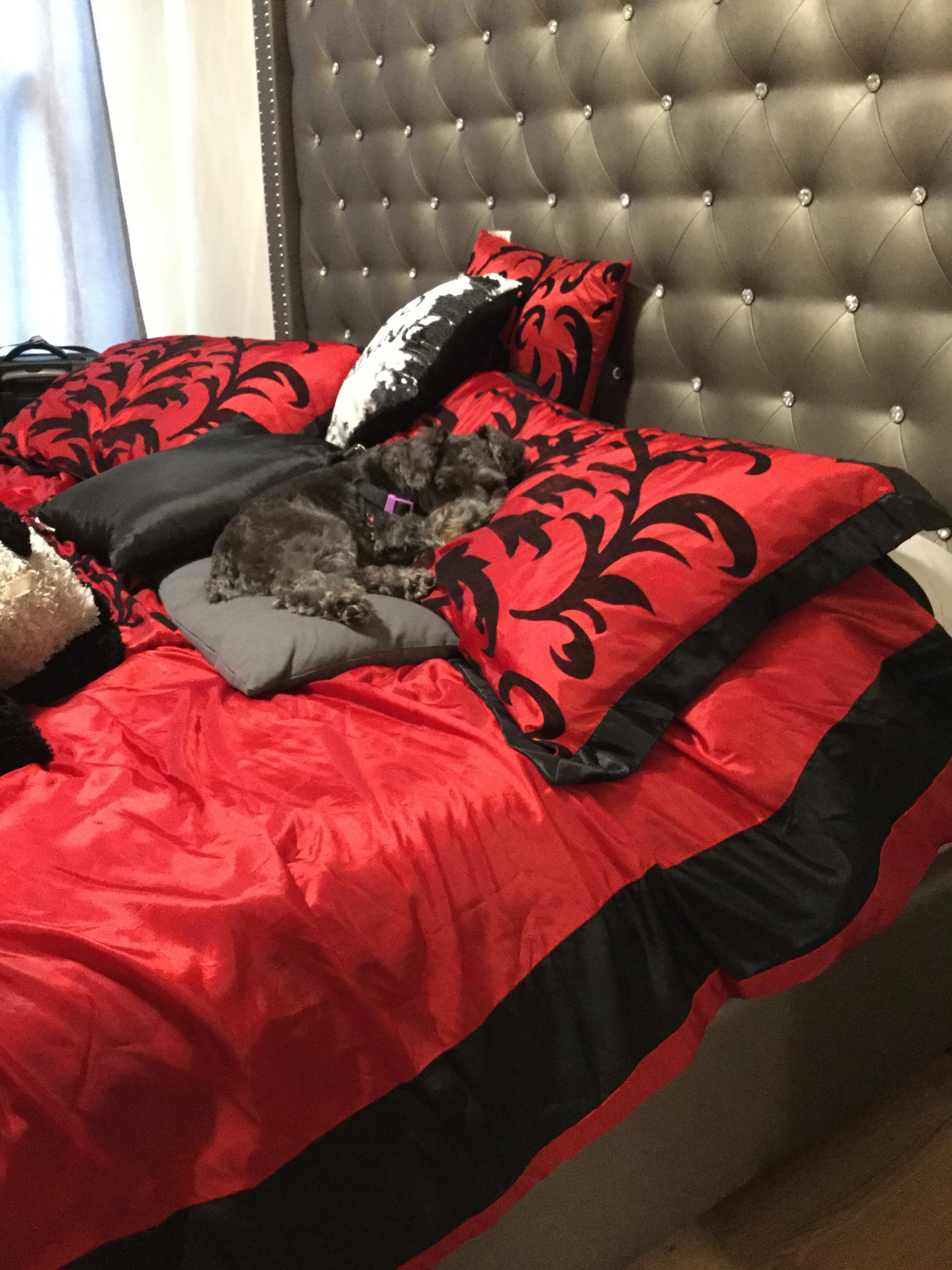 Lazy Sunday Scrolller