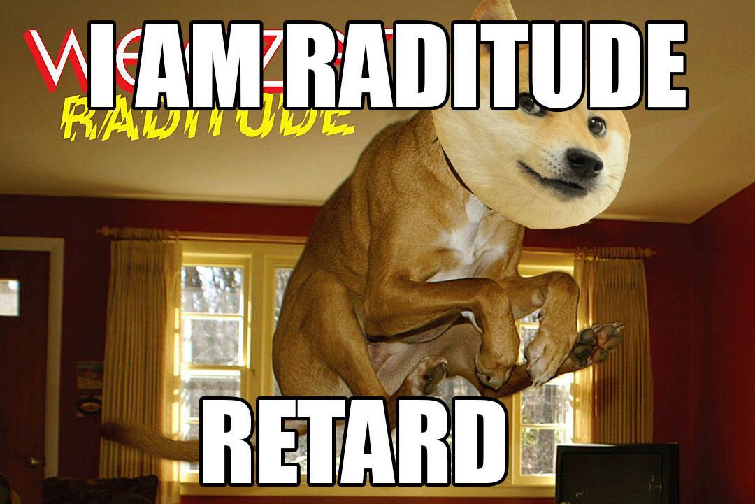 Le Best Album Has Arrived | Scrolller