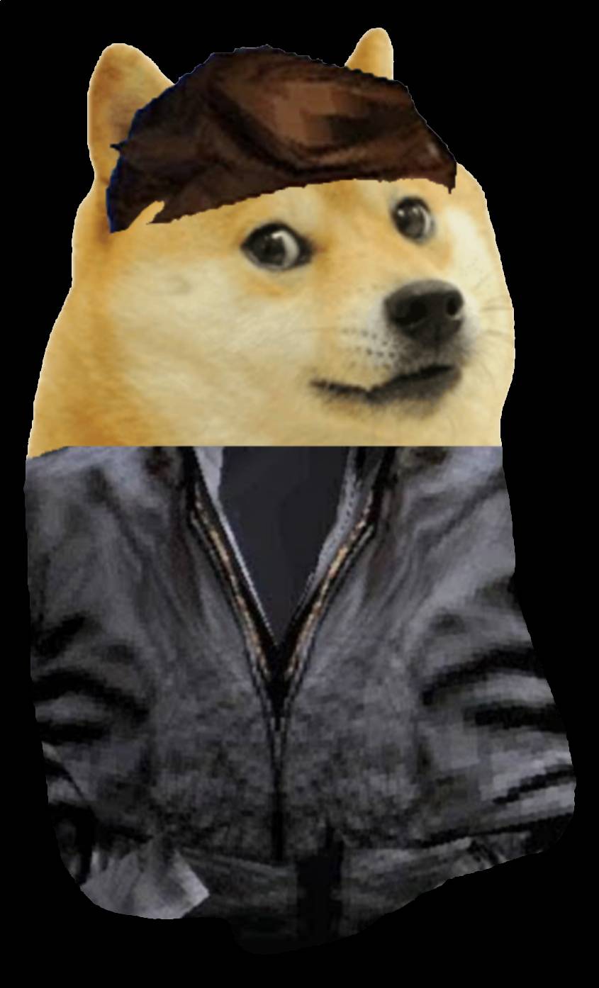 Le Claude doge has arrived | Scrolller