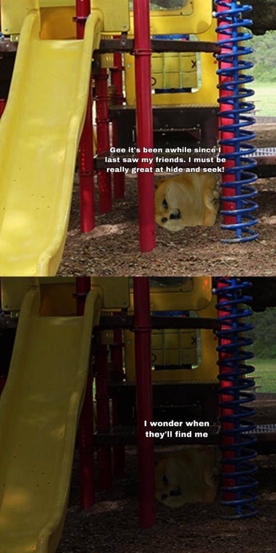 Le hide and seek has arrived | Scrolller