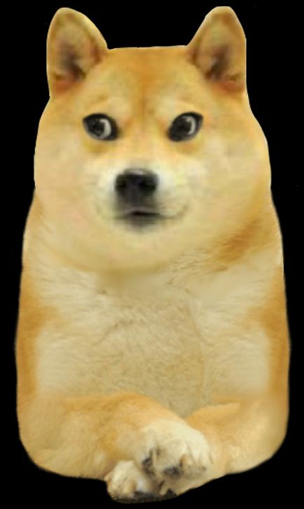 le normal front facing doge has arrived | Scrolller