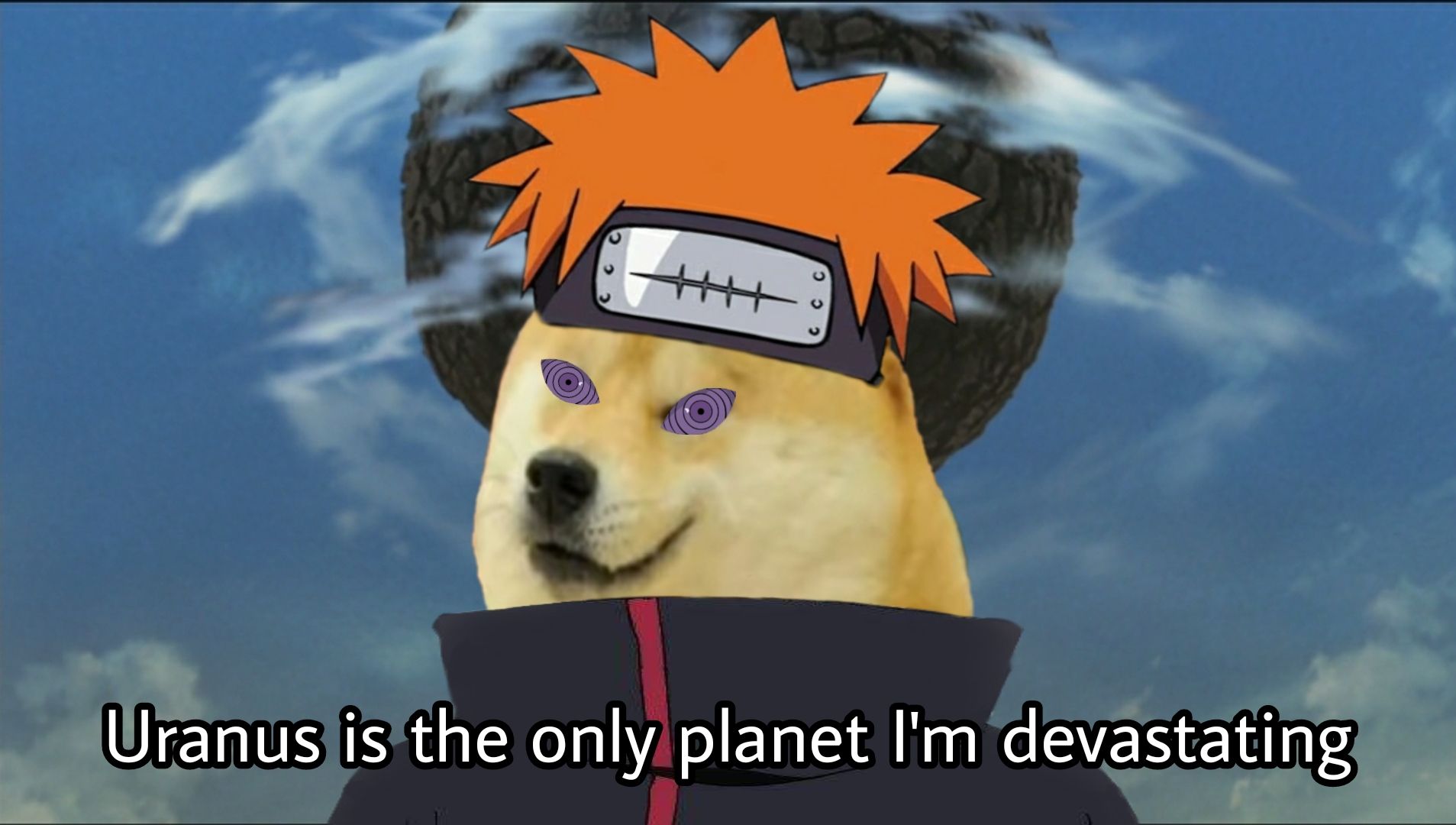 Le Pain has arrived | Scrolller