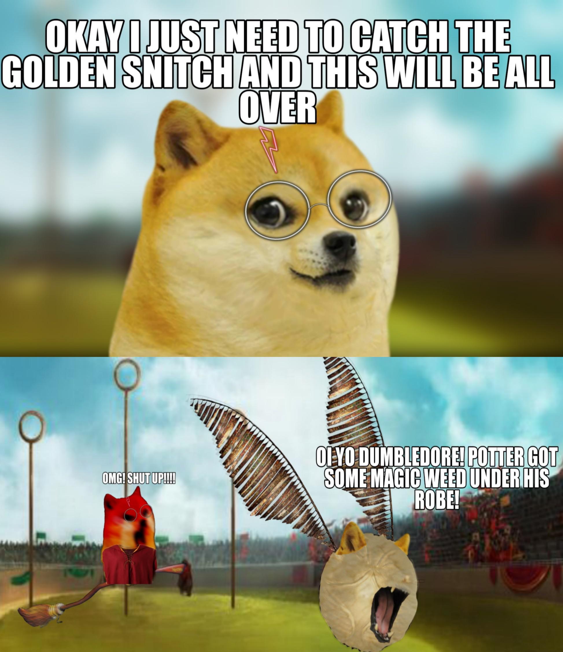 Le snitch has arrived | Scrolller