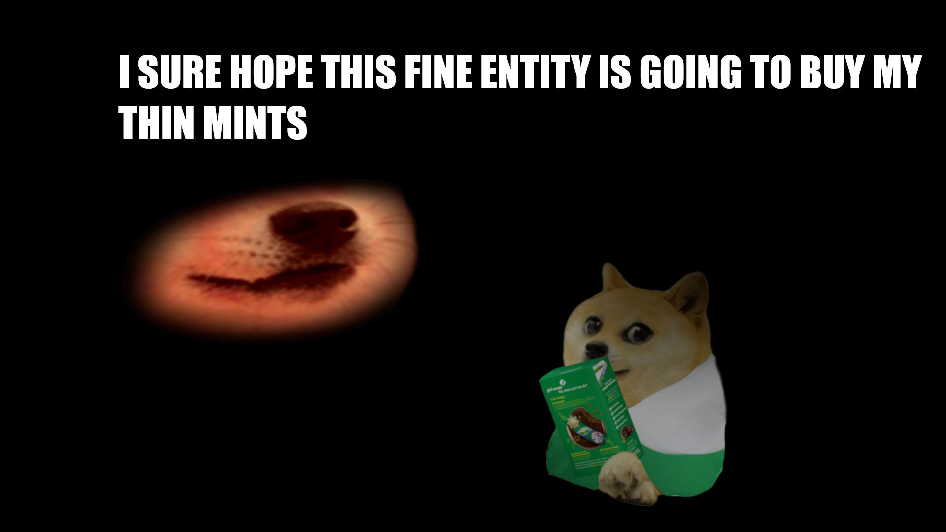 le thin mints has arrived | Scrolller