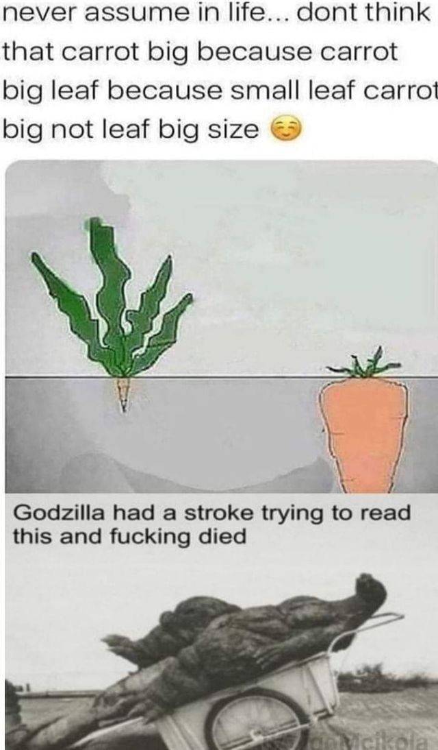 Leaf size big leaf carrot small | Scrolller