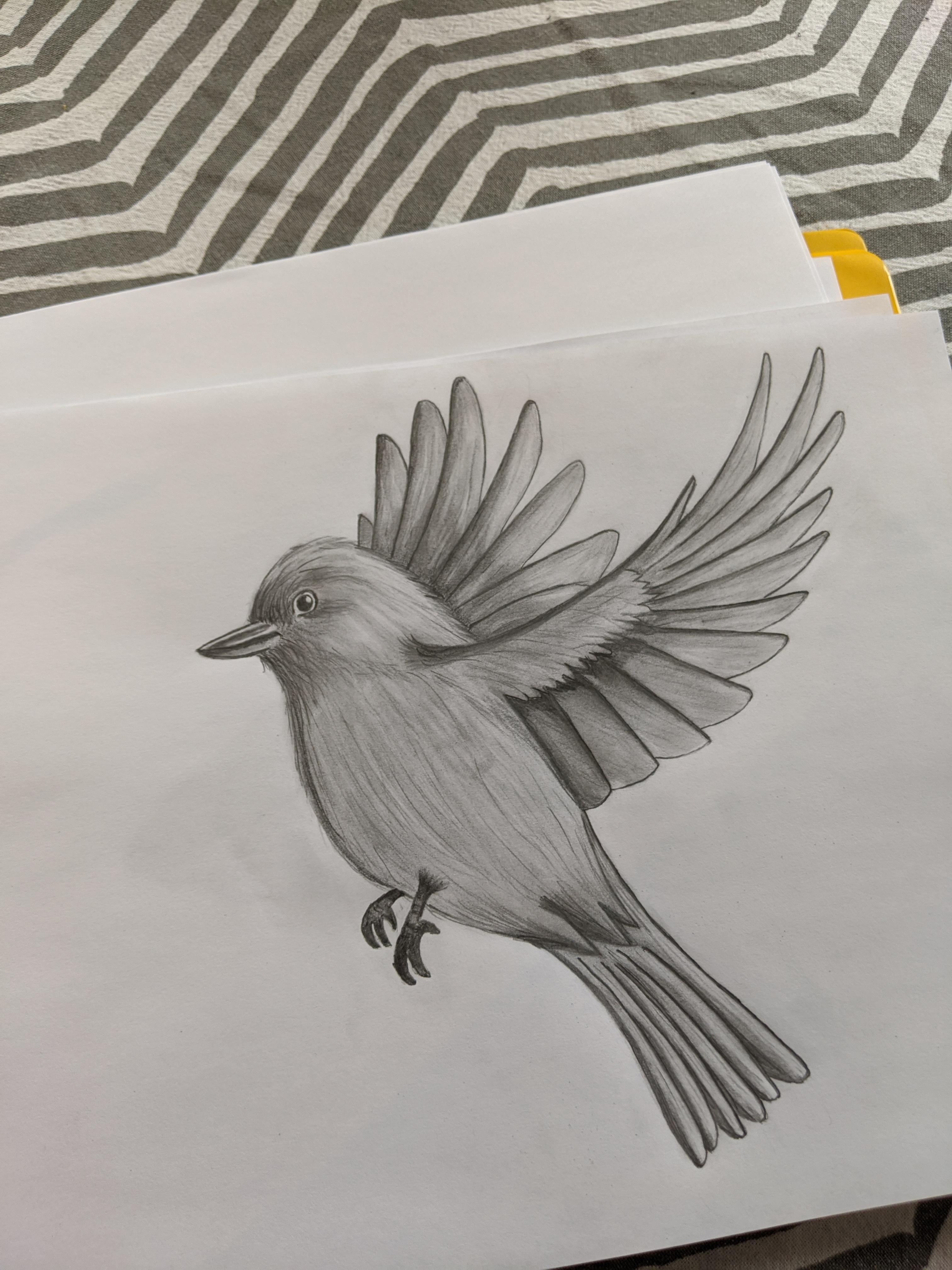 Learning to draw during quarantine. I've drawn an eye, a shark and now this! Liked it enough to ...