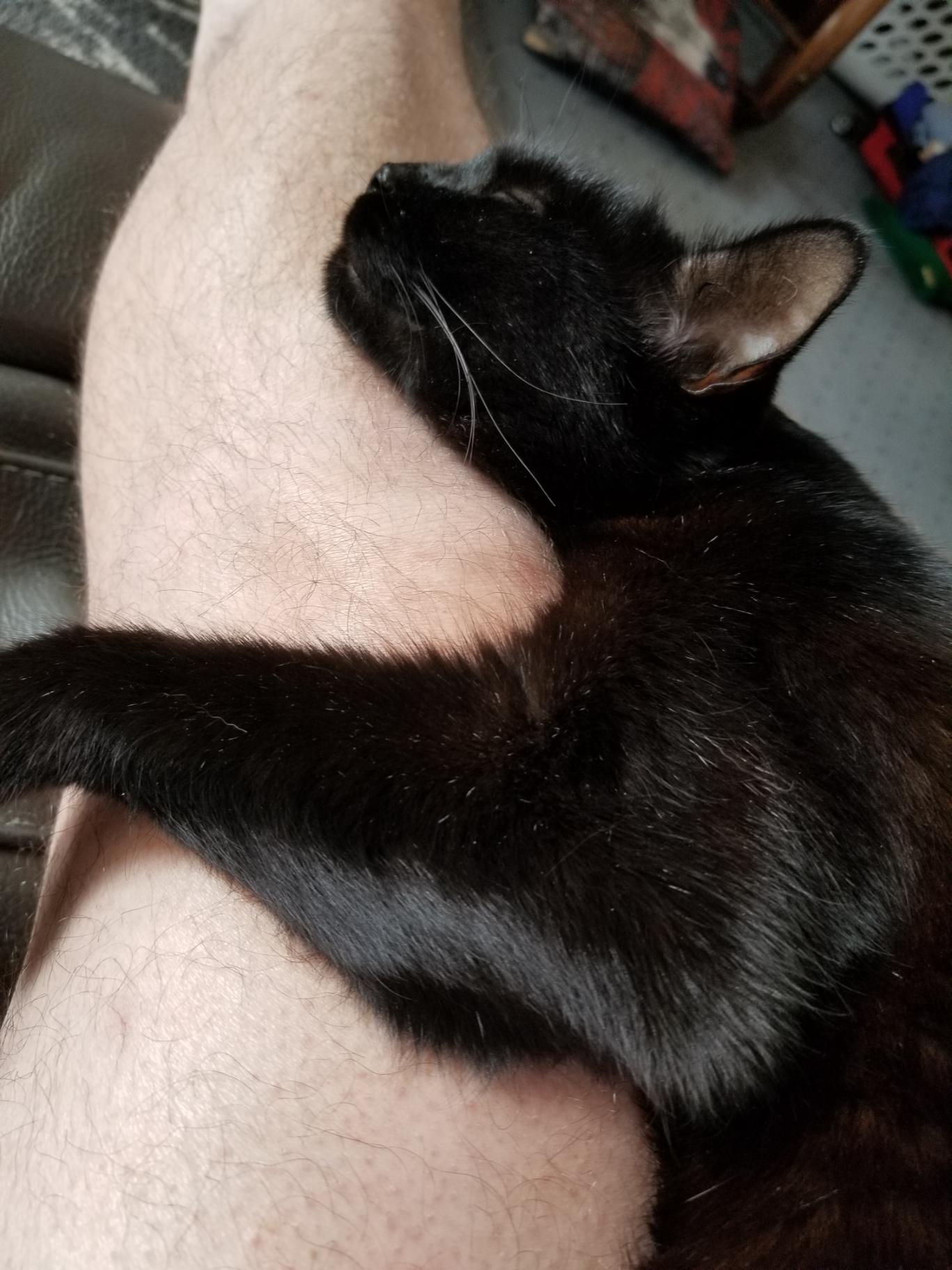 Leg hugs | Scrolller