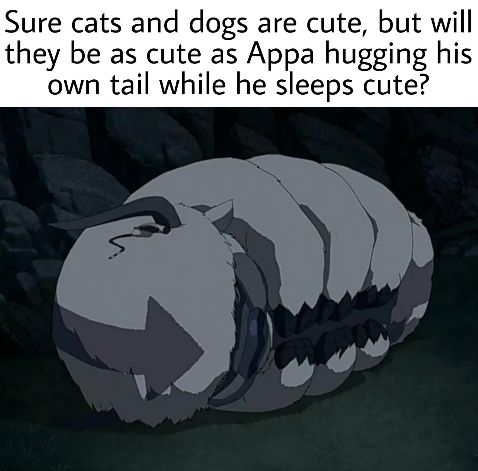 Legit nothing is cuter than Appa | Scrolller