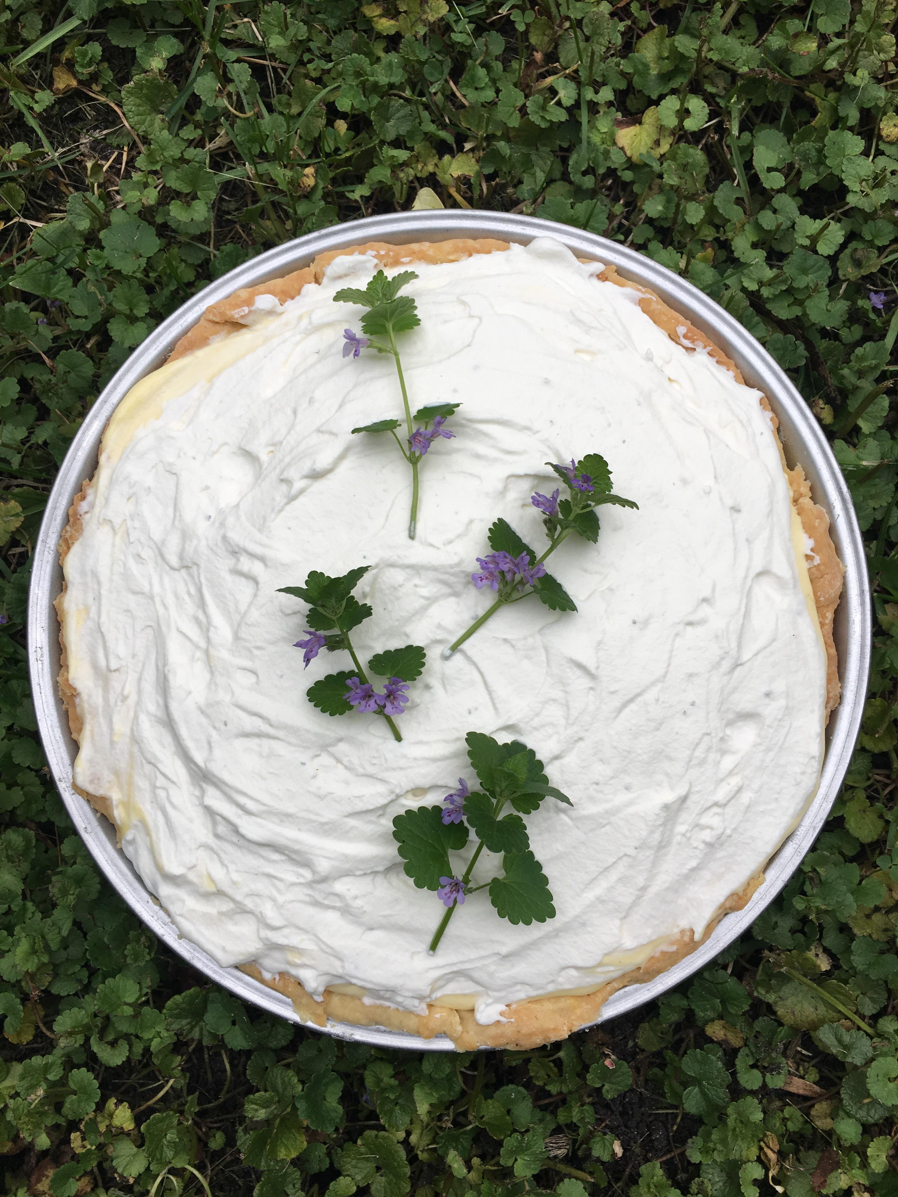 Lemon Lavender Cream Pie! | Scrolller