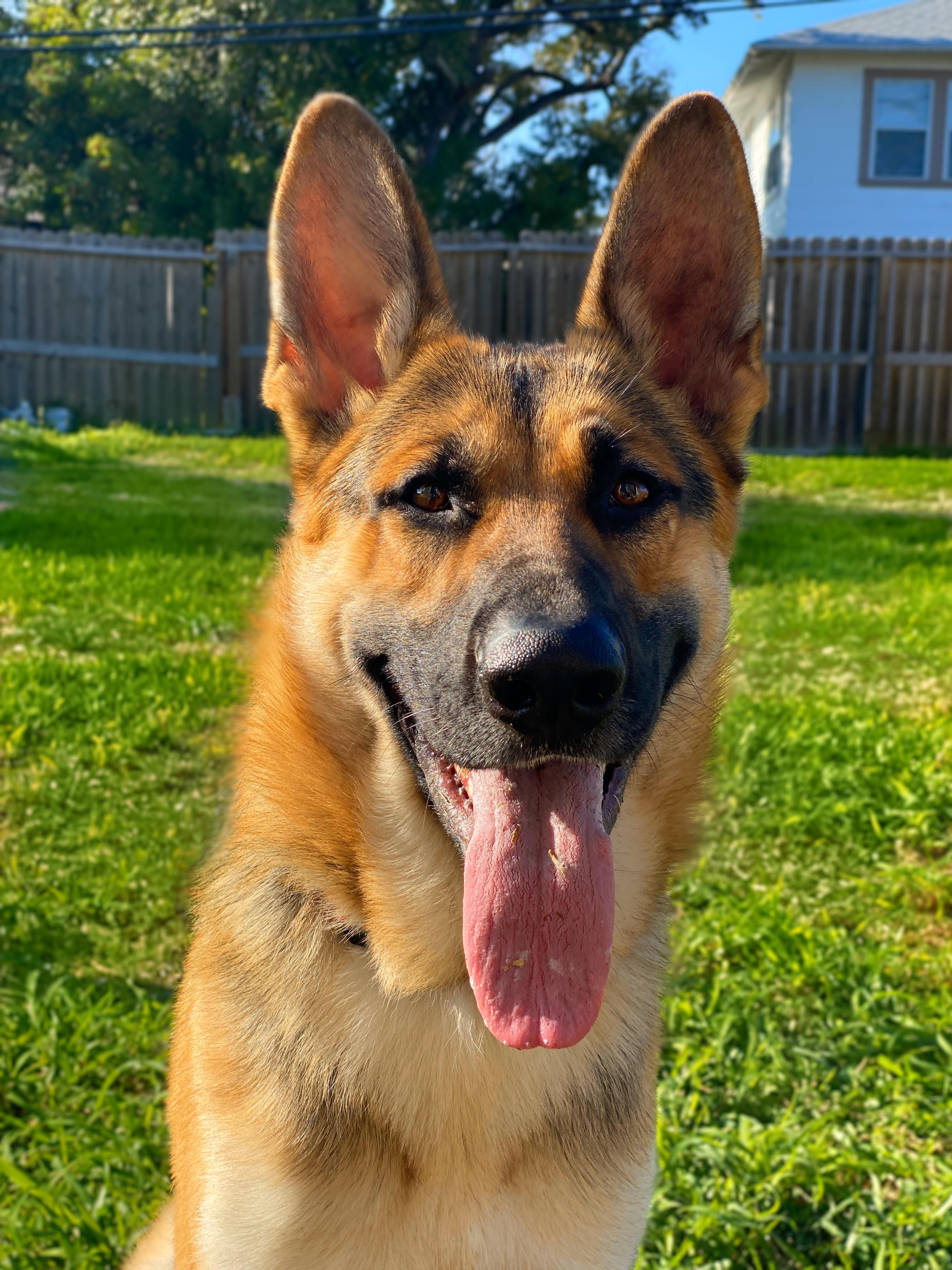 Leo’s coming for IG Models’ Jobs | Scrolller