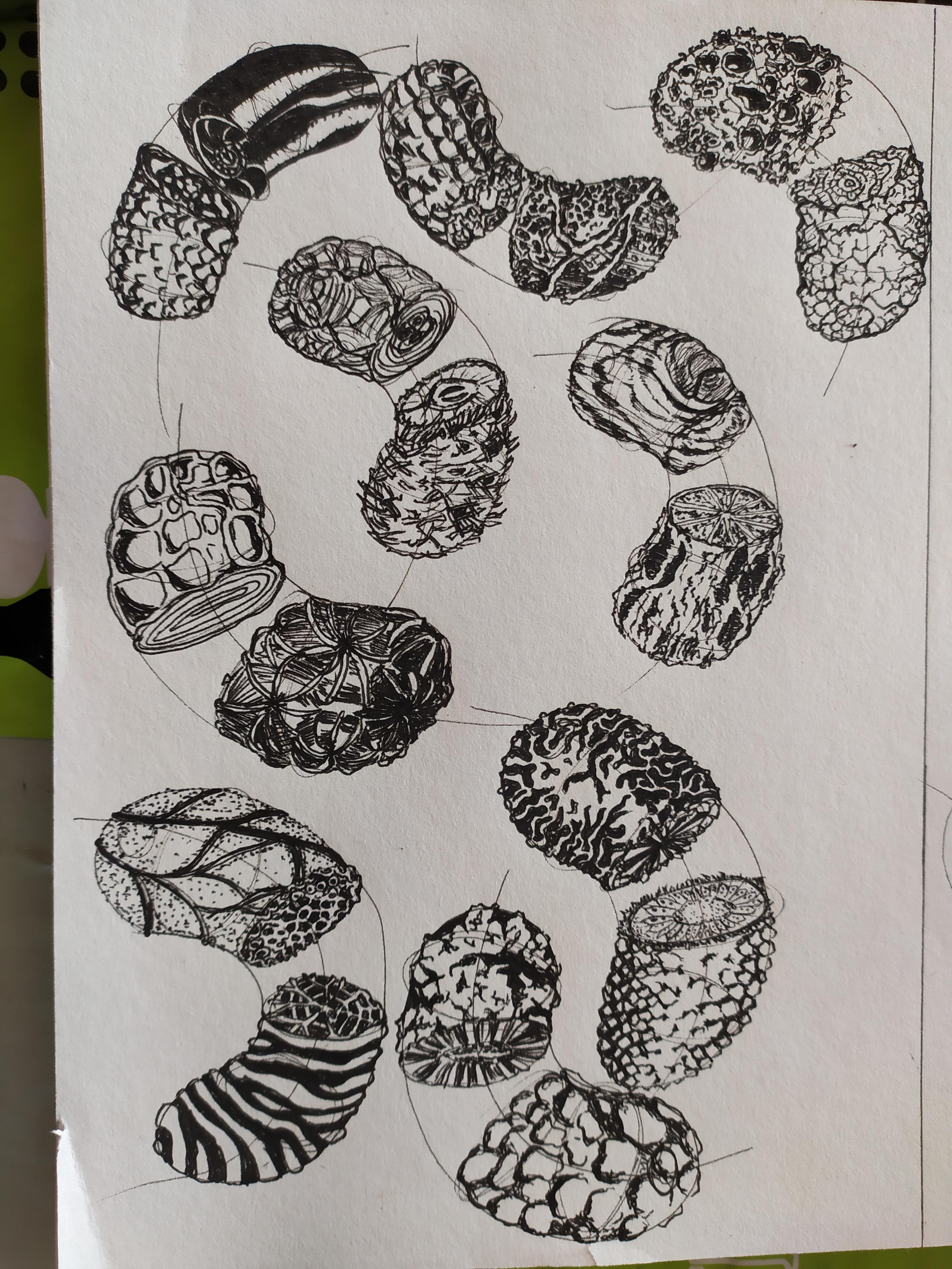 Lesson 2: Dissections | Scrolller