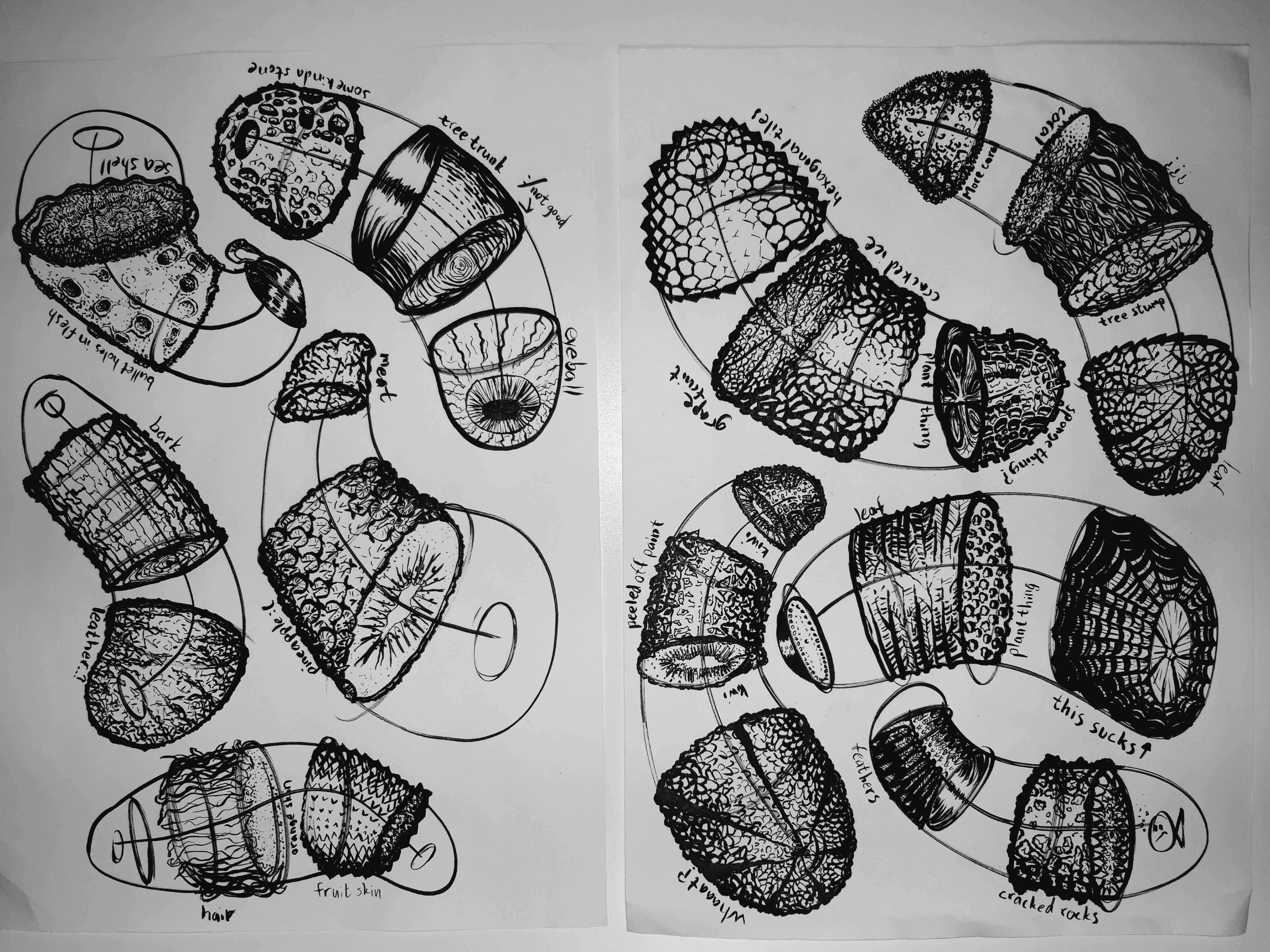 Lesson 2: Dissections - Thoughts? | Scrolller