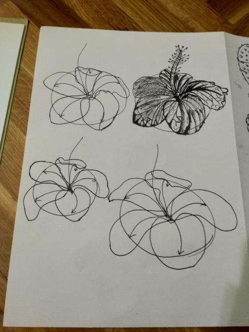 Lesson 3. Hibiscus studies. Goin with the flow | Scrolller