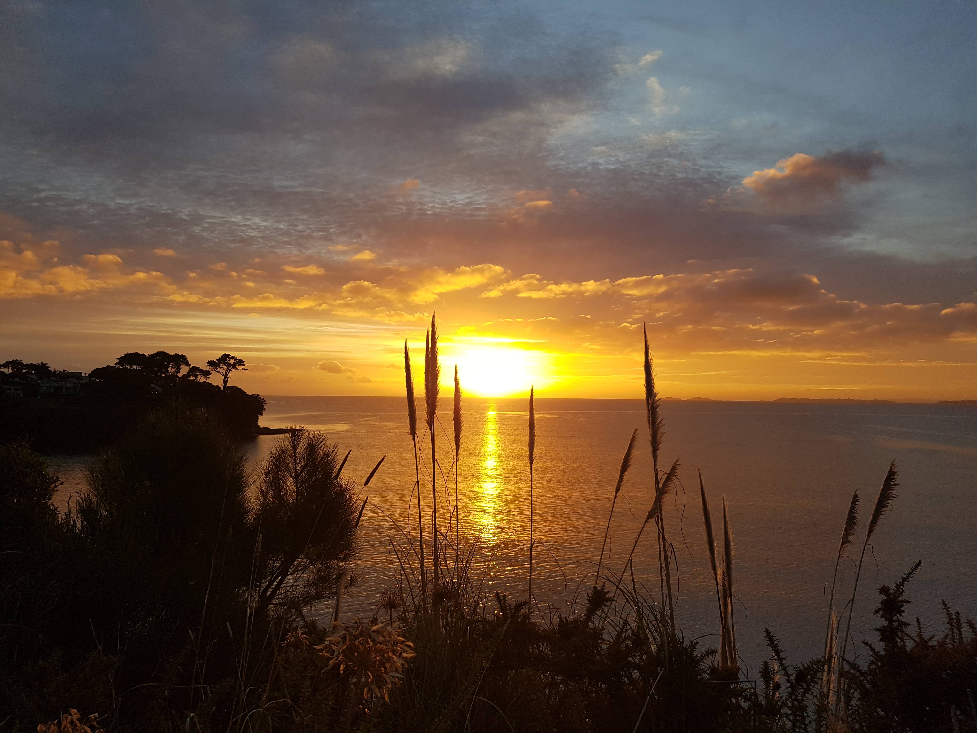 Lest we forget | Scrolller