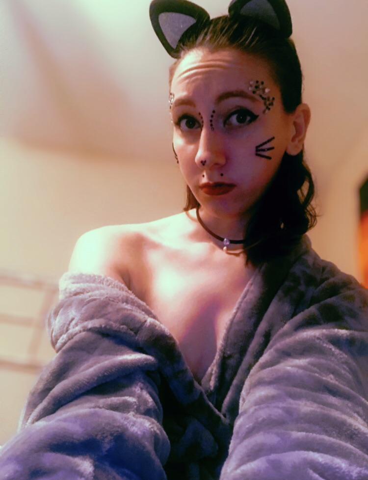 Let me be your kitty cat | Scrolller