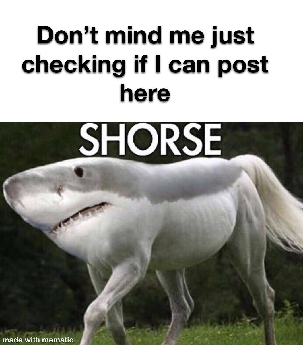 Let’s hope | Scrolller