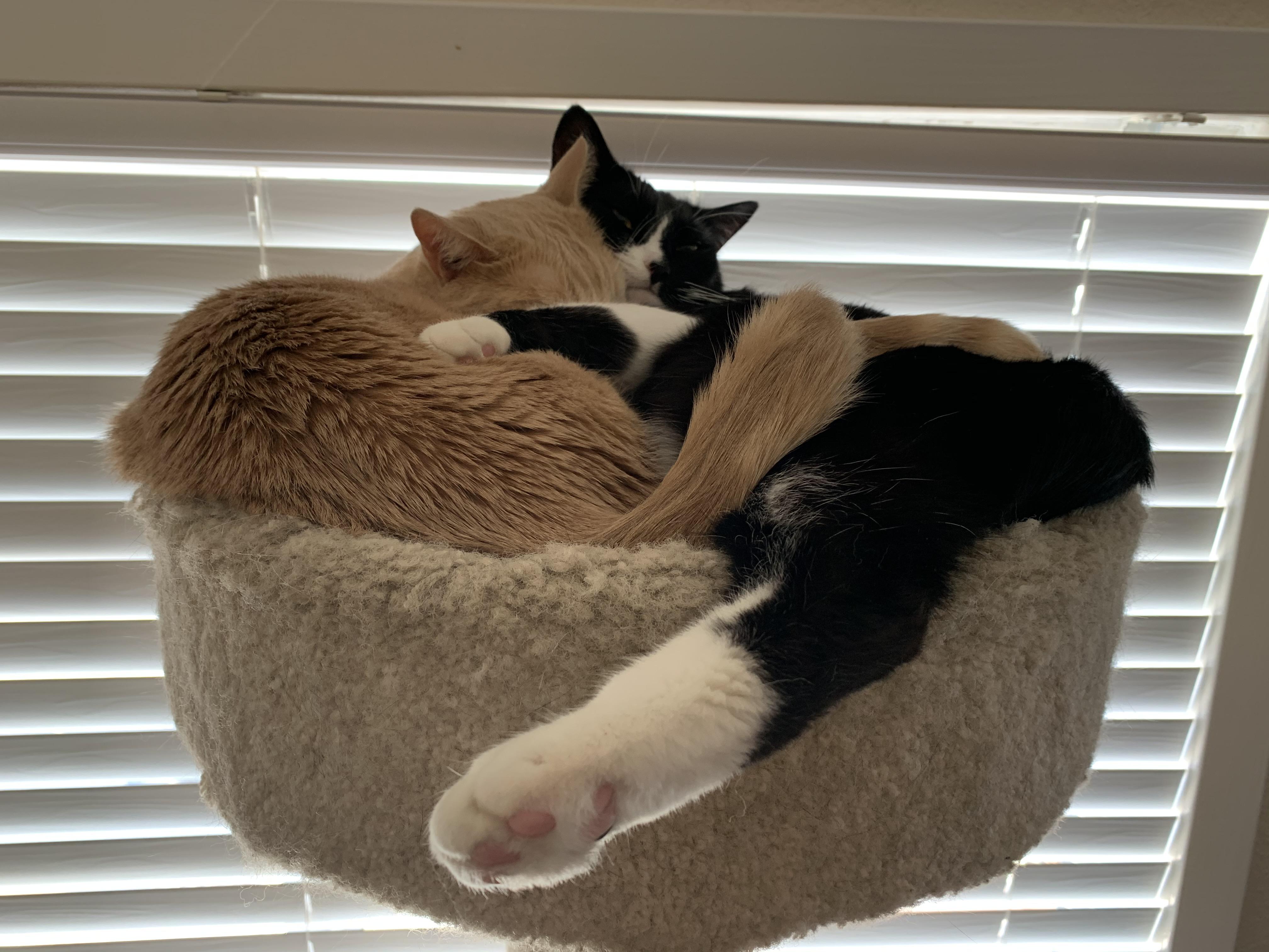 Let sleeping brothers lie | Scrolller