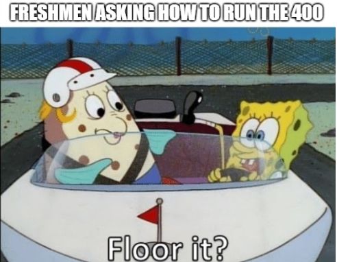 Let the memes flow | Scrolller