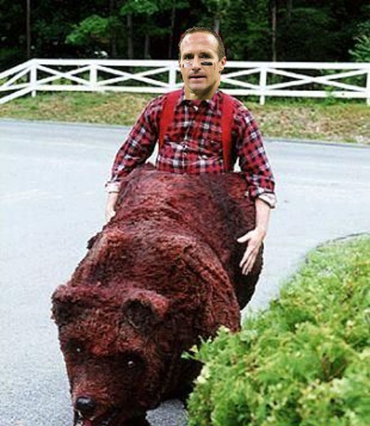 LETS F THOSE BEARS | Scrolller