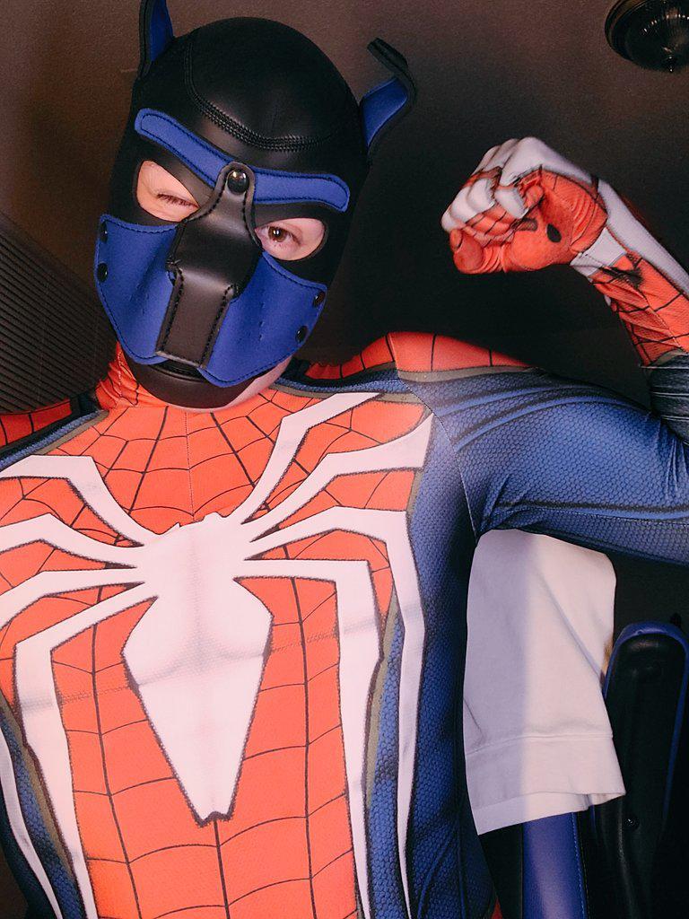 Let's make a niche Pup version of Spider-Verse 😛 | Scrolller