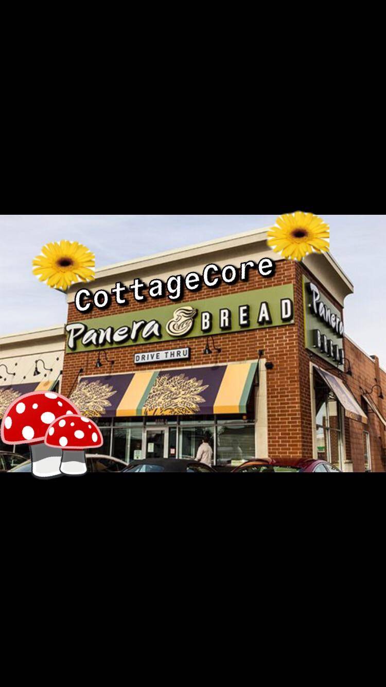 LETS MAKE THIS A THING | Scrolller