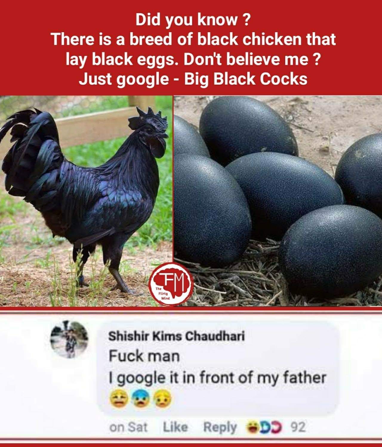 Lets try! | Scrolller