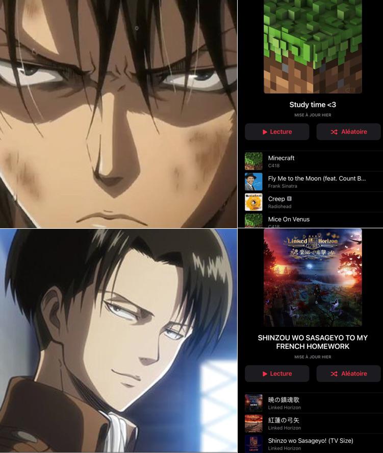 Levi approuved. | Scrolller