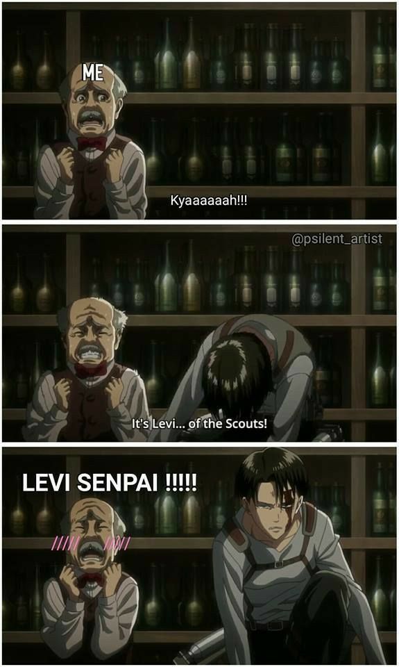 Levi Senpai! | Scrolller