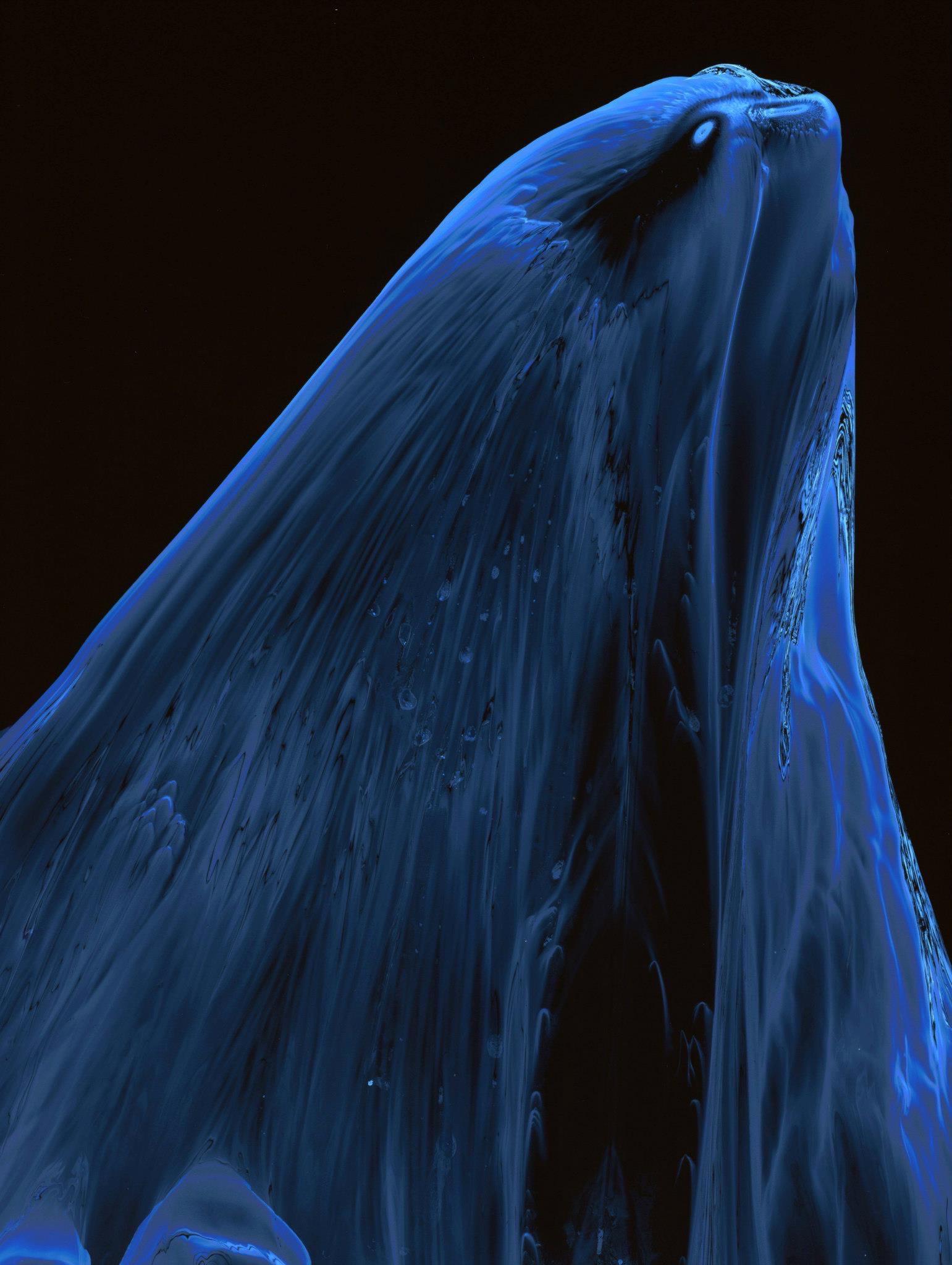 Leviathan Sloth rising from the depth | Scrolller