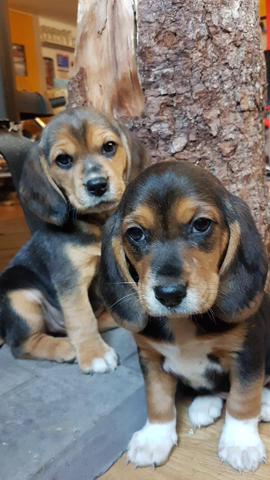 Lexy and casey | Scrolller