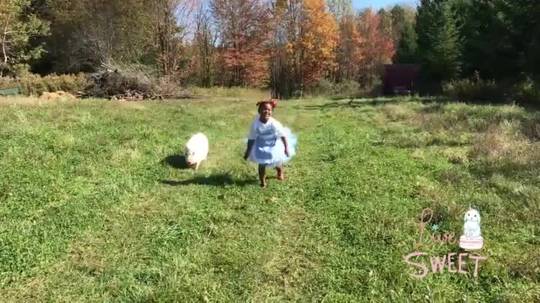 Libby and Pearl go for a walk | Scrolller